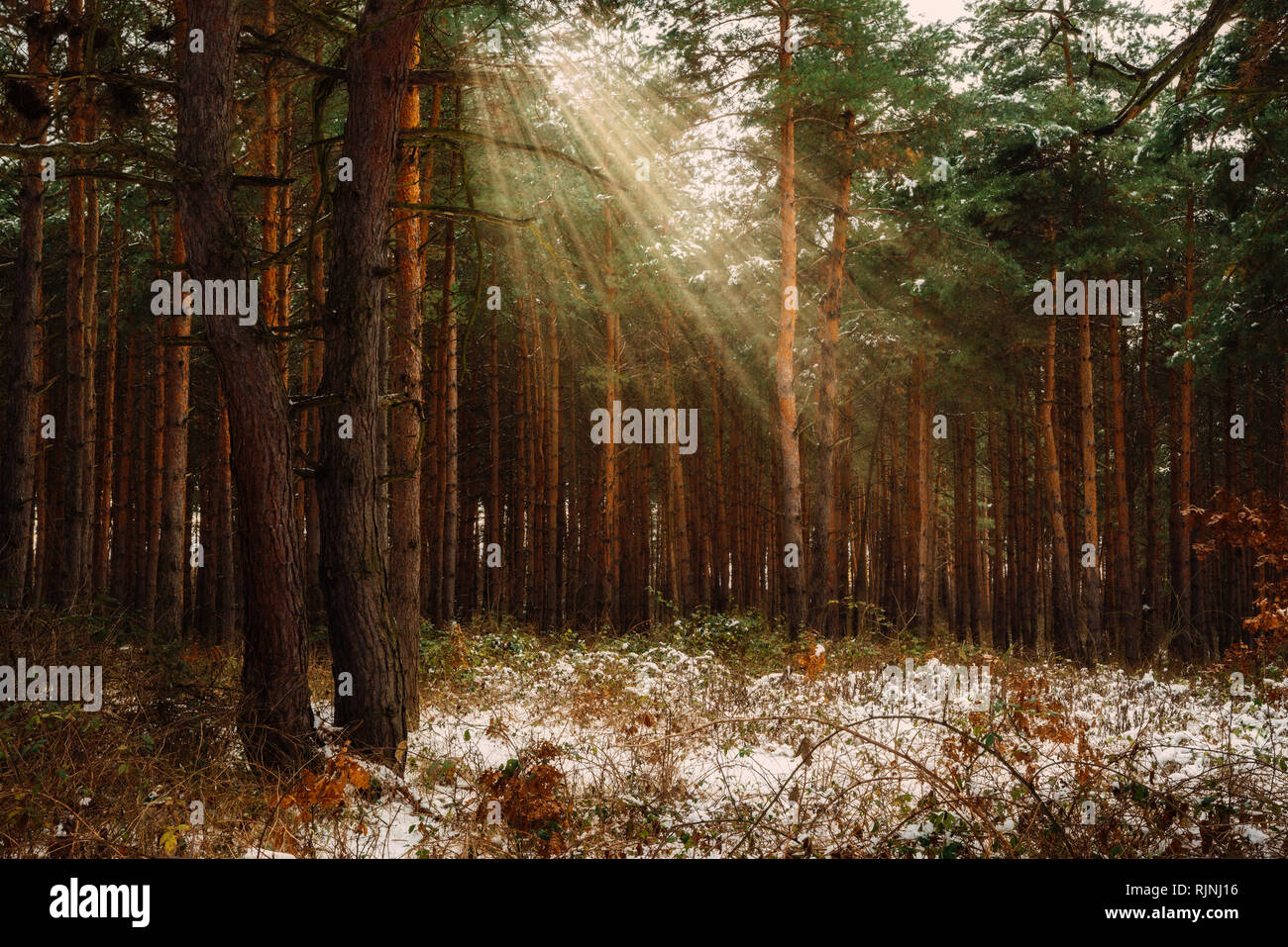 Magic Scenery High Resolution Stock Photography and Images - Alamy