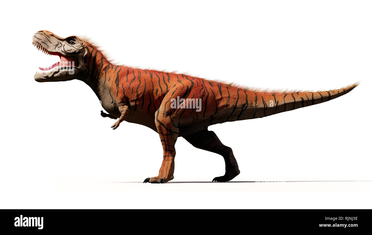 Tyrannosaurus rex, T-rex dinosaur from the Jurassic period (3d render ...