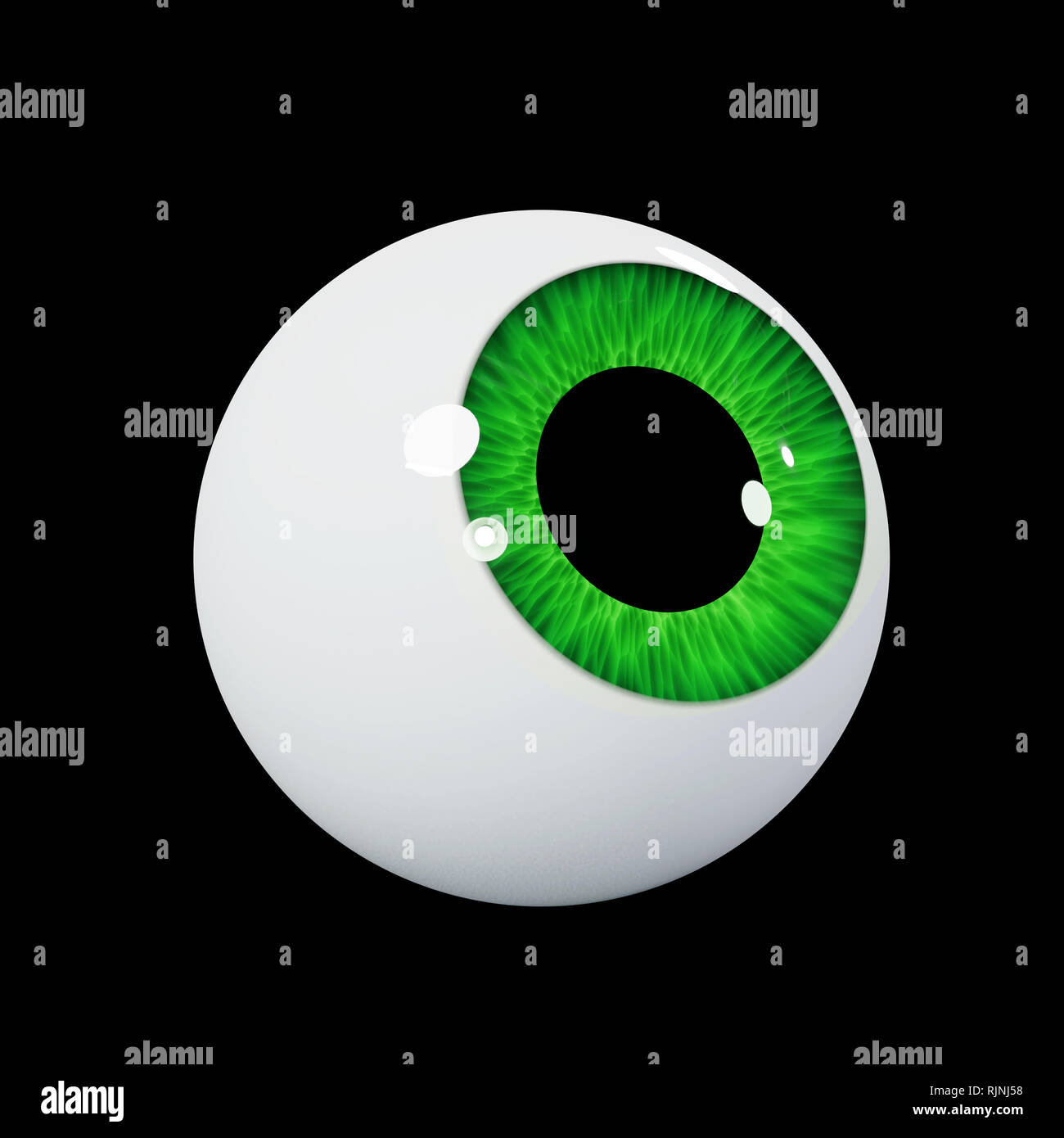human eyeball with green iris isolated with shadow on black background ...