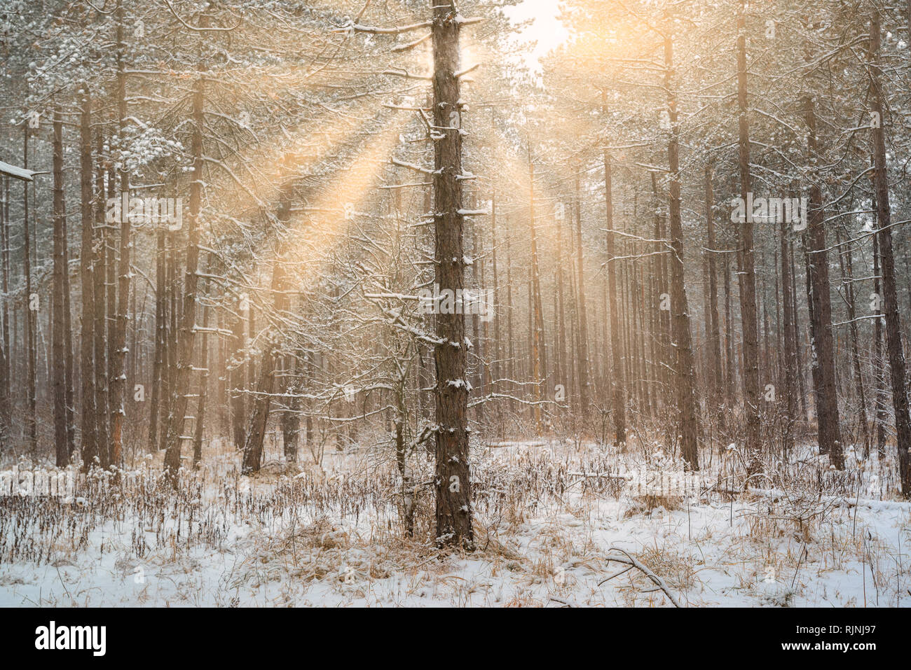 Dreamy Scenery High Resolution Stock Photography and Images - Alamy