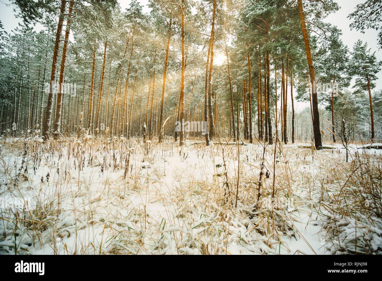 Dreamy Scenery High Resolution Stock Photography and Images - Alamy