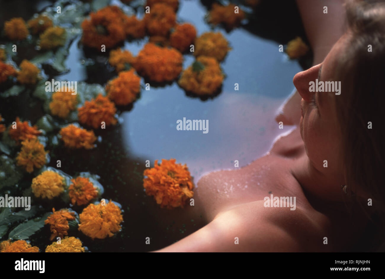 Neem flower india hi-res stock photography and images - Alamy