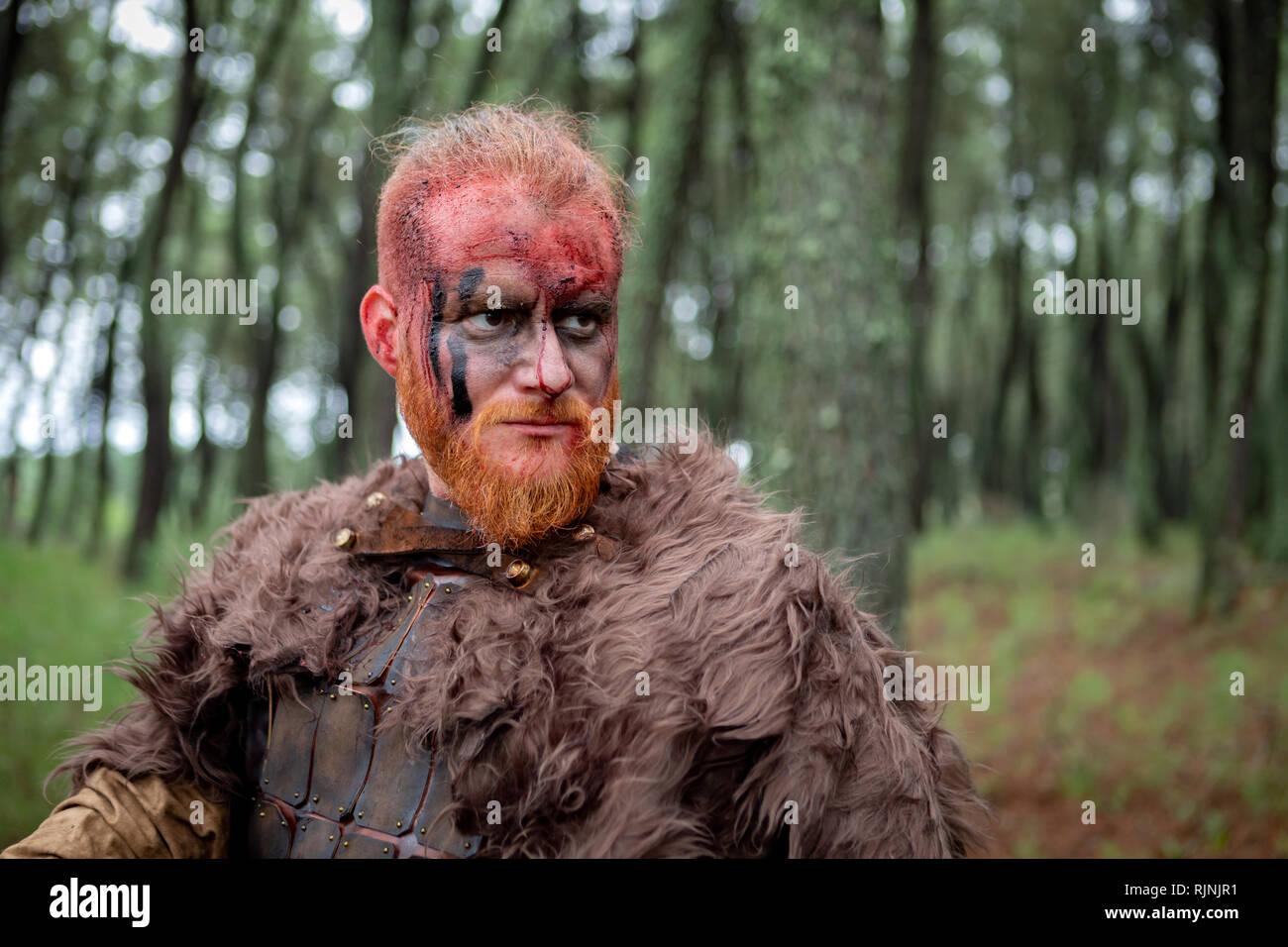 Real viking in the countryside with many trees around Stock Photo - Alamy