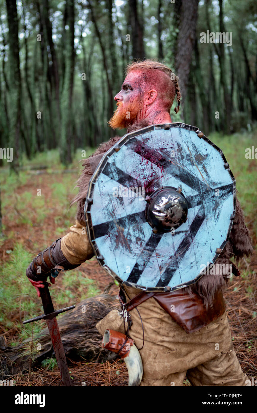Bloody real viking with his shield in the countryside Stock Photo - Alamy