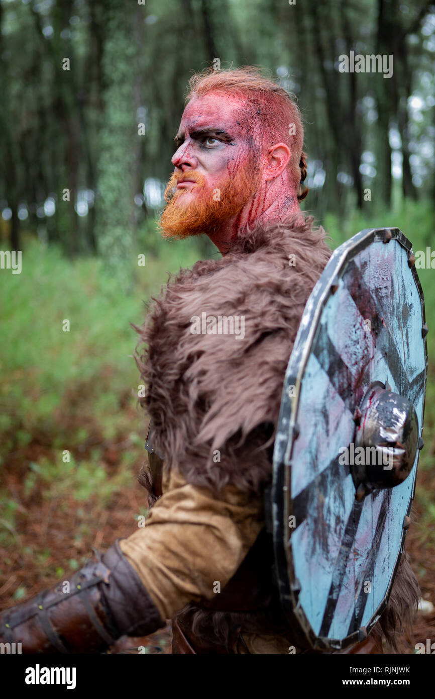 Bloody real viking with his shield in the countryside Stock Photo - Alamy