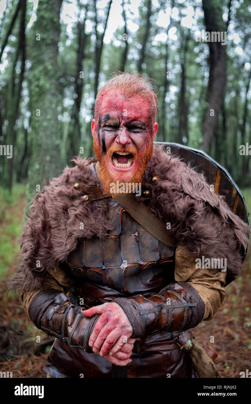 Angry men in viking costume hi-res stock photography and images - Alamy