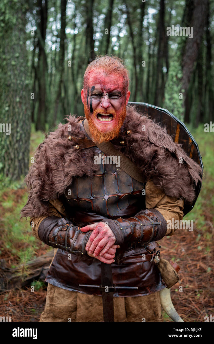 Bloody real viking with his shield in the countryside Stock Photo - Alamy