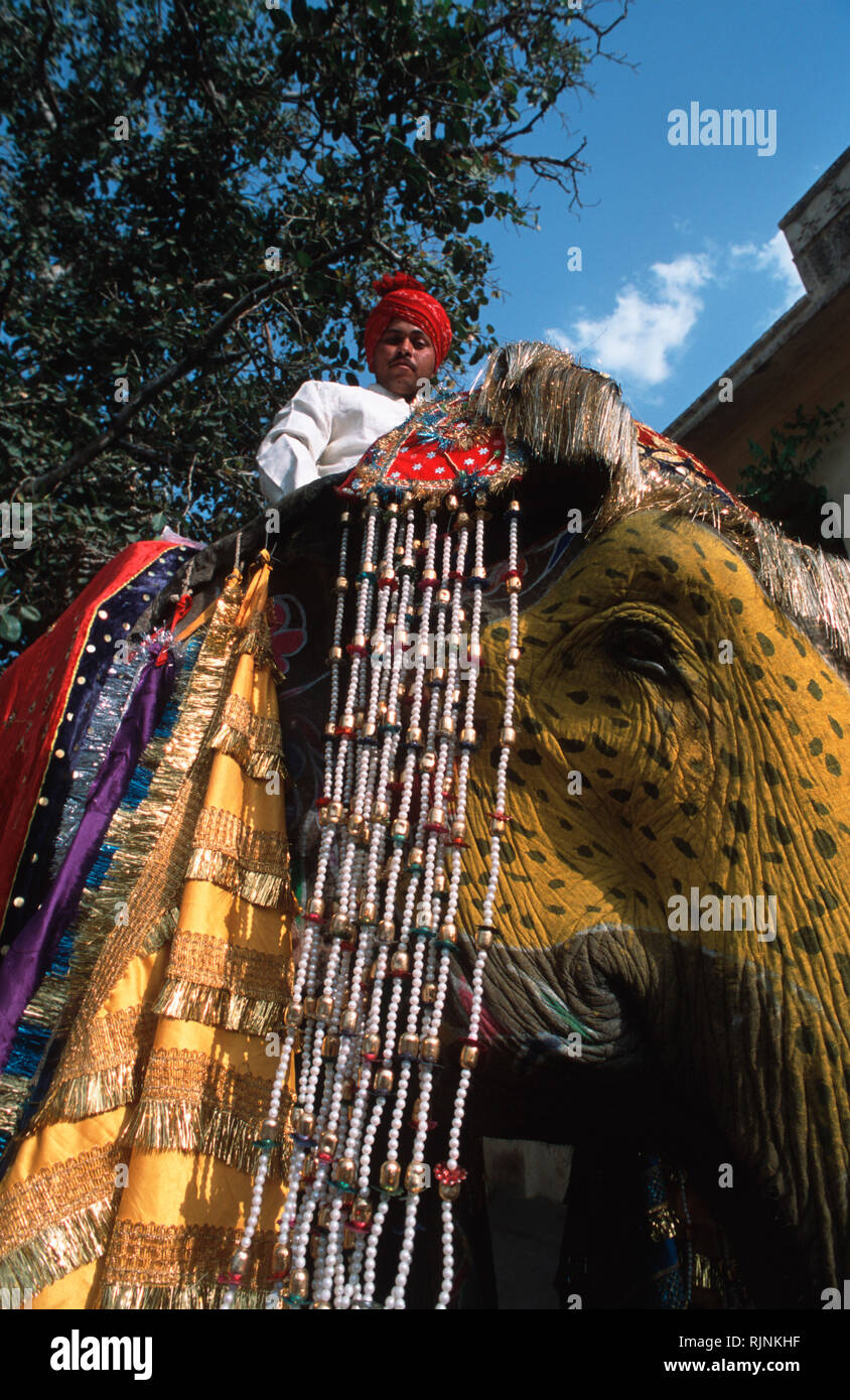 An elephant trainer and his decorated steed wait to take part in the ...