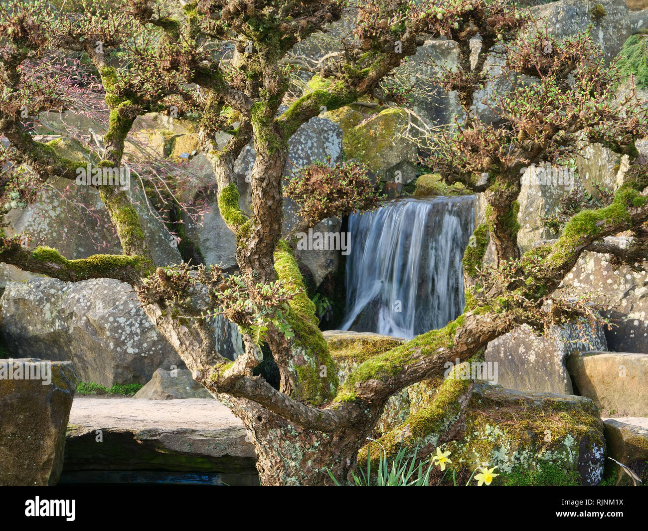 Waterfalls vertical erosion hi-res stock photography and images - Alamy
