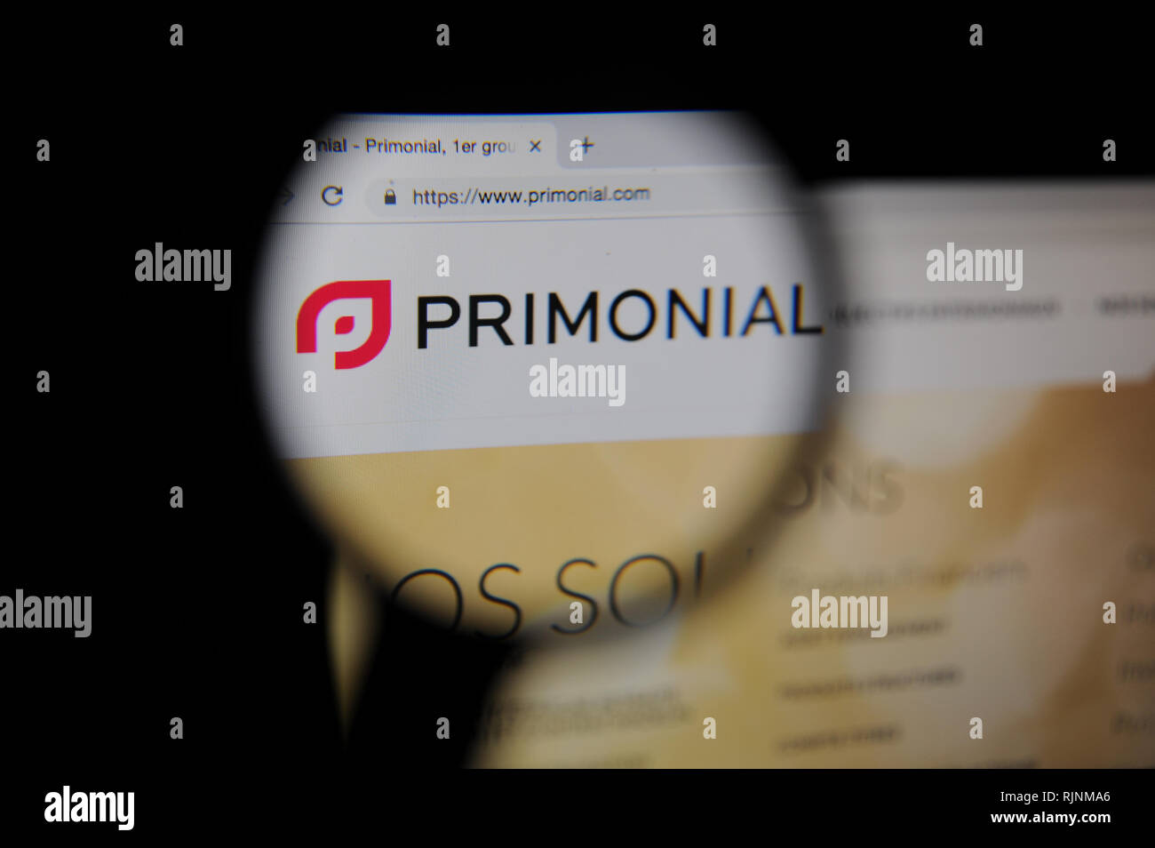 Primonial website seen through a magnifying glass Stock Photo - Alamy