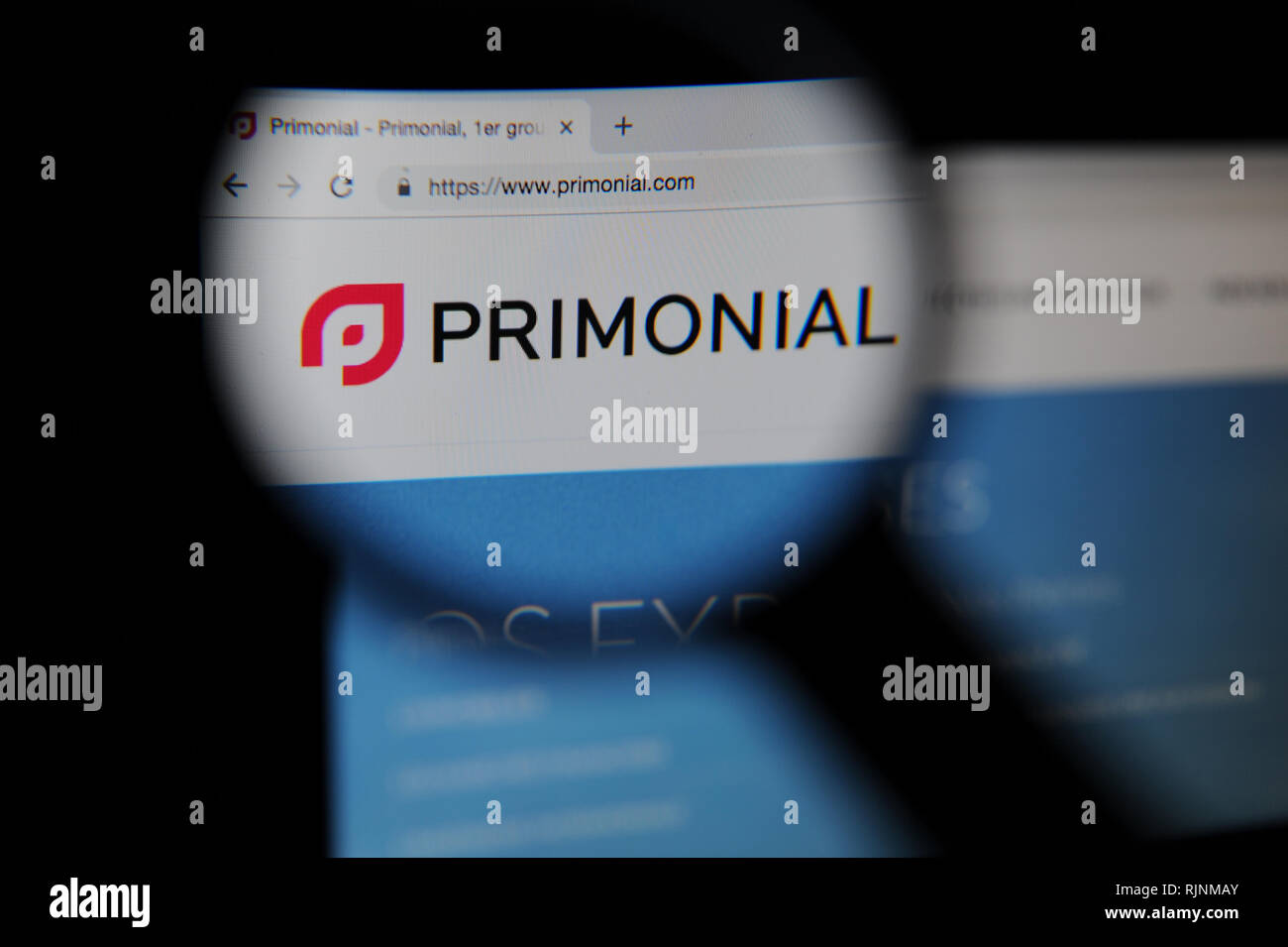 Primonial website seen through a magnifying glass Stock Photo - Alamy