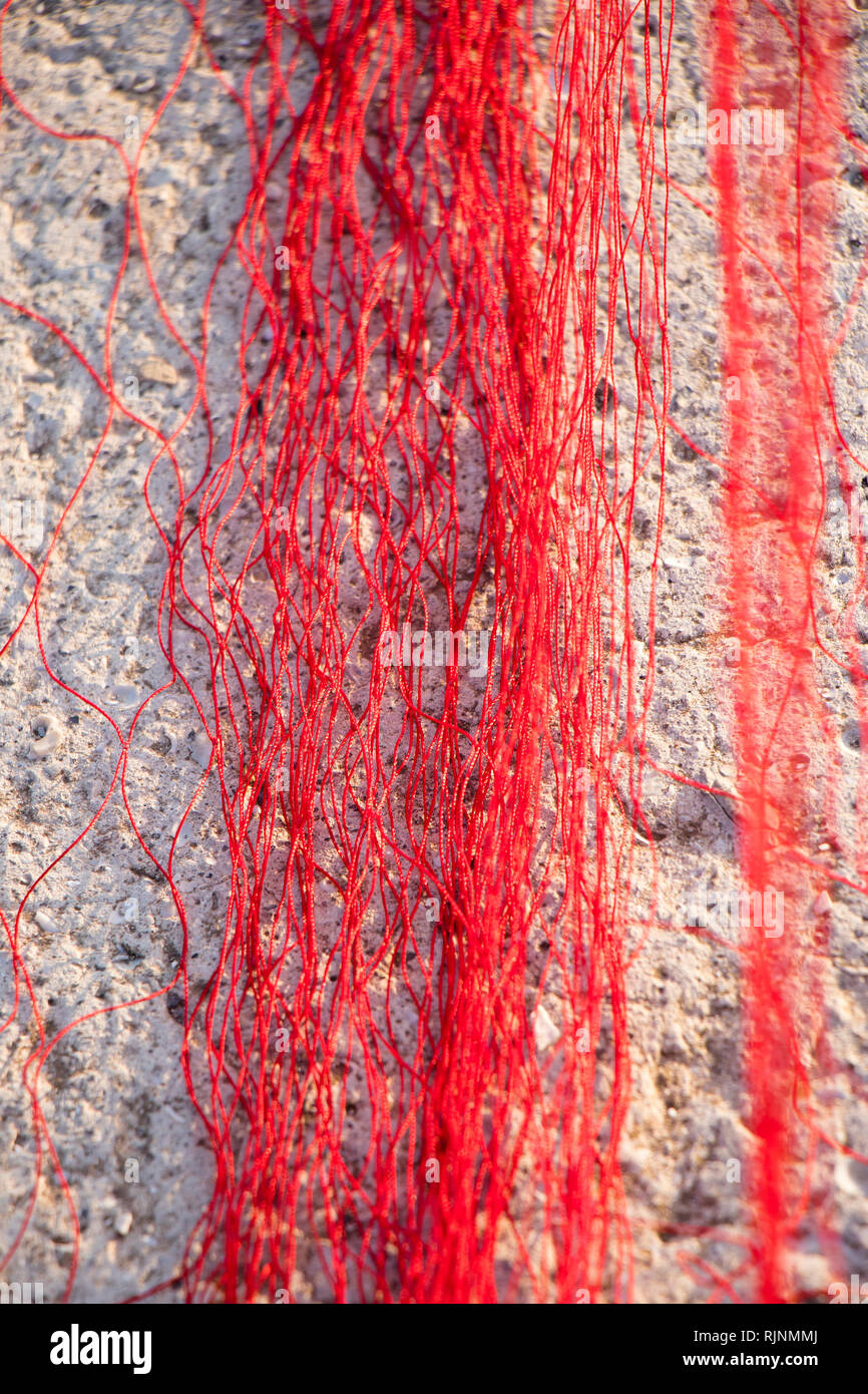 Blurry shiny red fishing hi-res stock photography and images - Alamy