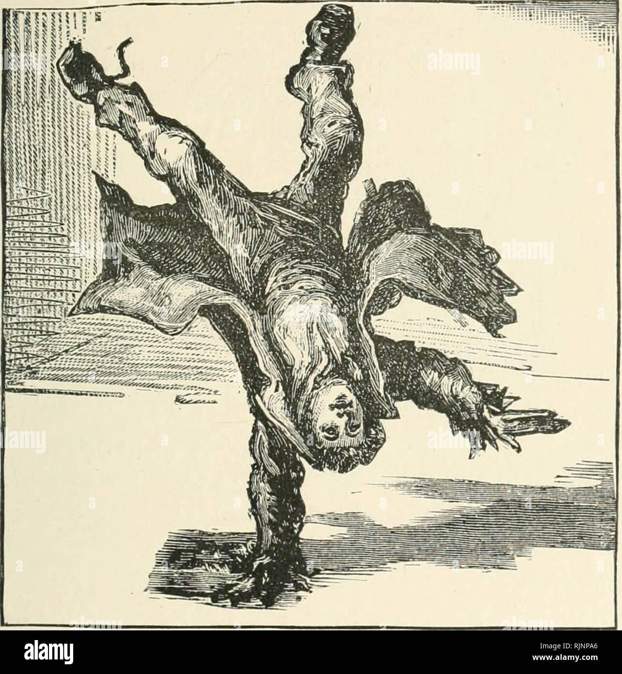 "Street Arabs and gutter snipes. The pathetic and humorous side of ...