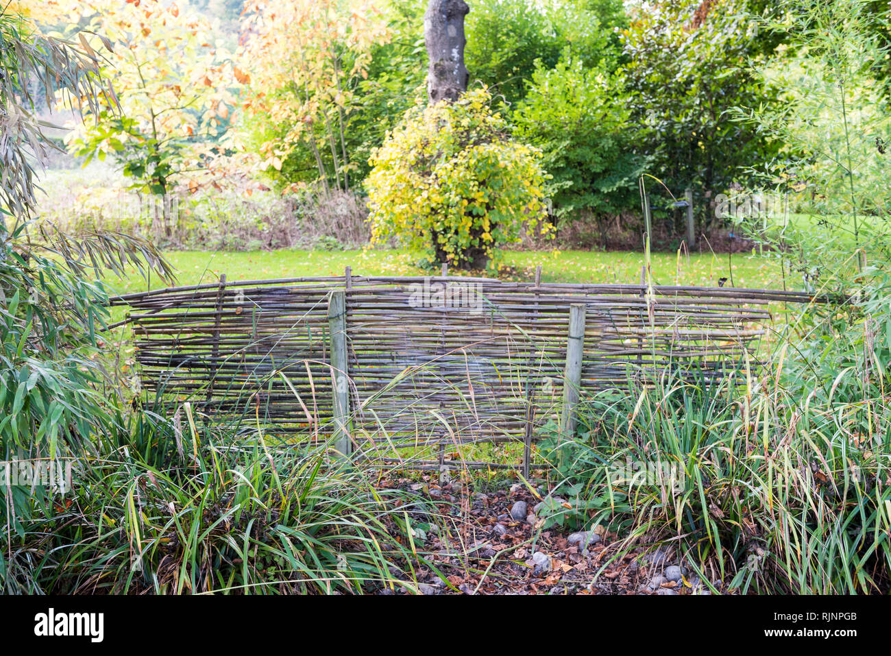 Bamboo palisade in a garden, autumn, Somme, France Stock Photo - Alamy