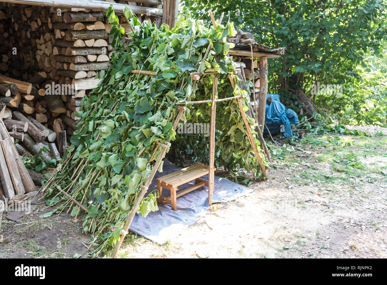 Small hut made of hazel wood, summer, Moselle, France Stock Photo - Alamy