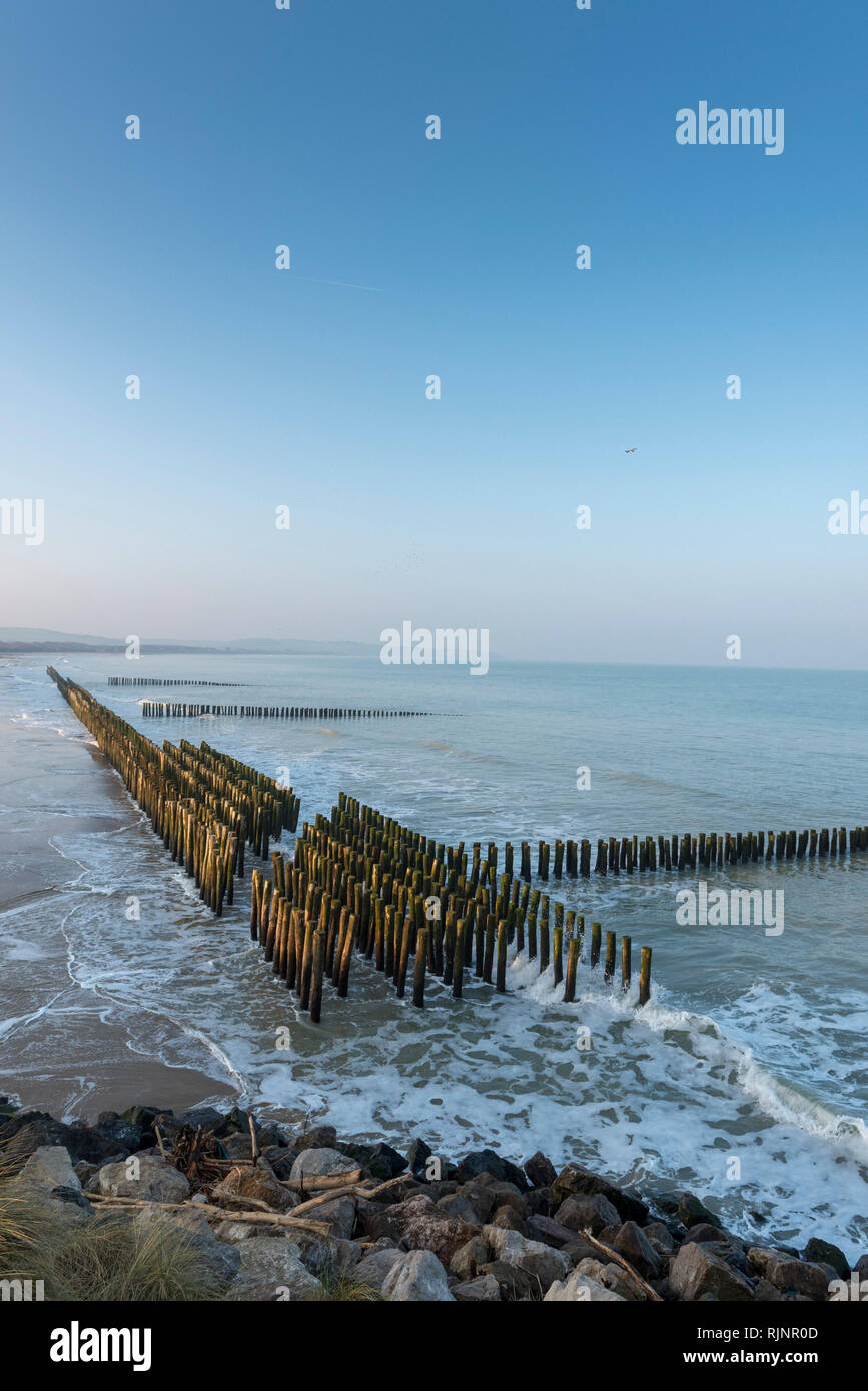 Alignment of wooden piles planted in the sand to disperse the energy of ...