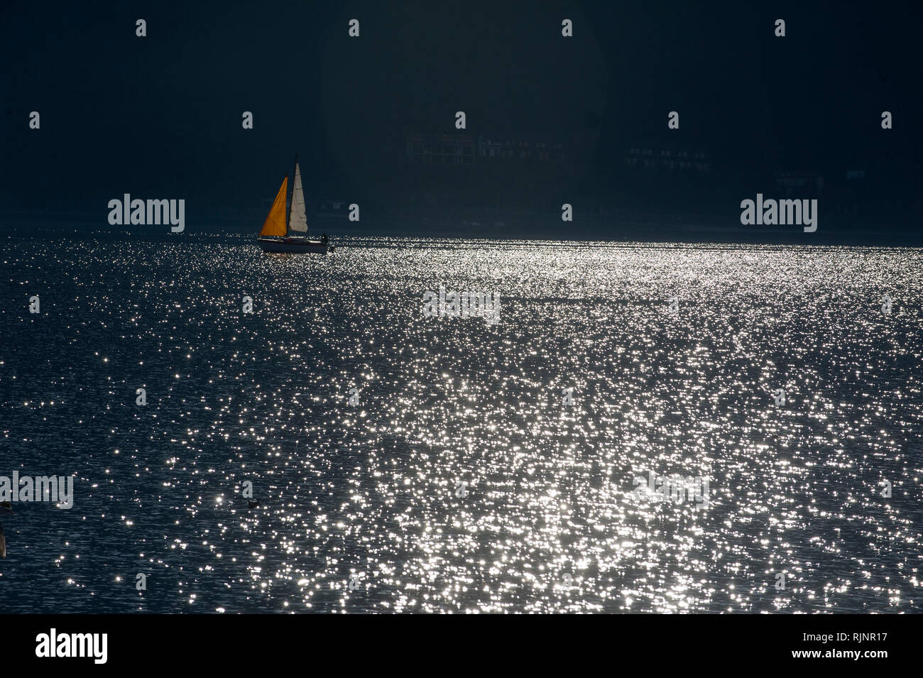 Europe, Italy, Lombardy, Lago Lario, Lago Como, Lecco branch. Mandello ...