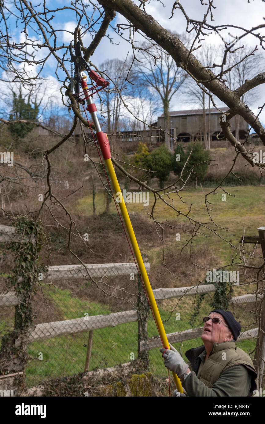 Apple pruning winter hi-res stock photography and images - Alamy