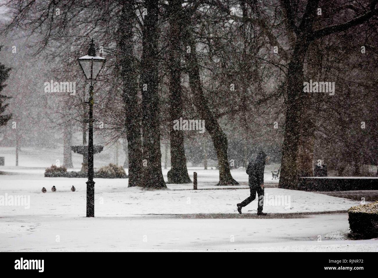 Buxton derbyshire, winter gardens hi-res stock photography and images ...