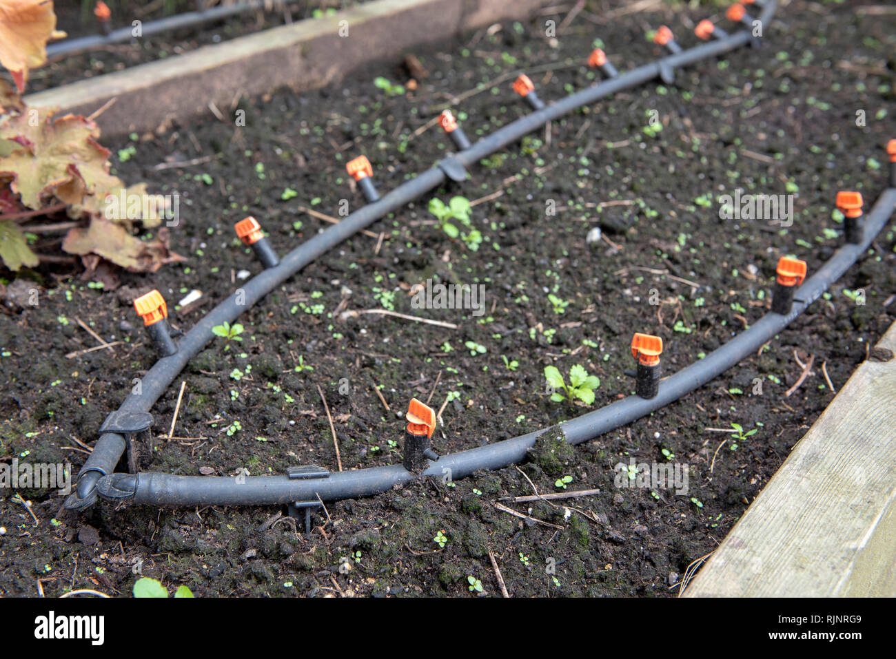 Irrigation system with irrigation nozzles, spring, Manche, France Stock ...