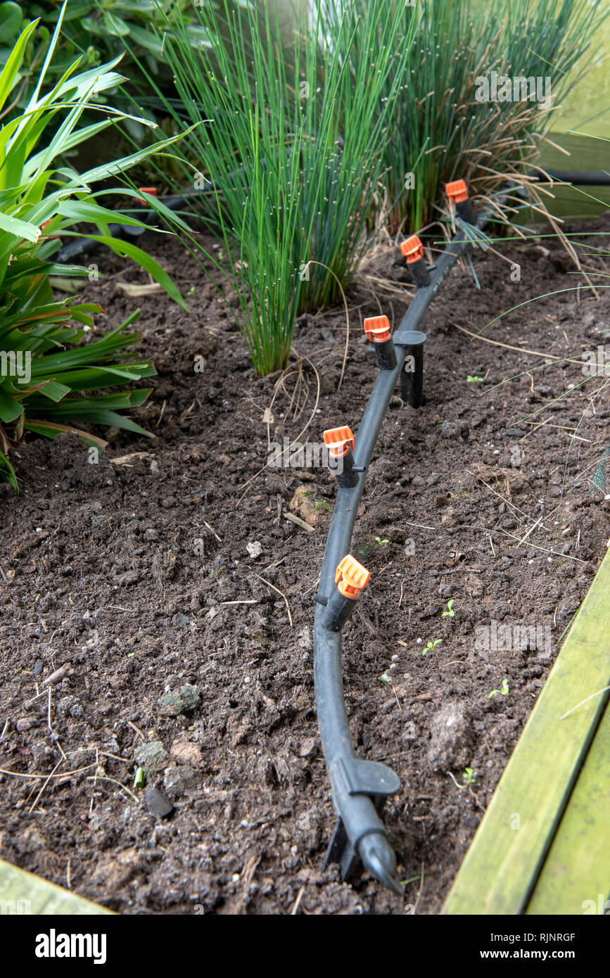 Irrigation system with irrigation nozzles, spring, Manche, France Stock ...