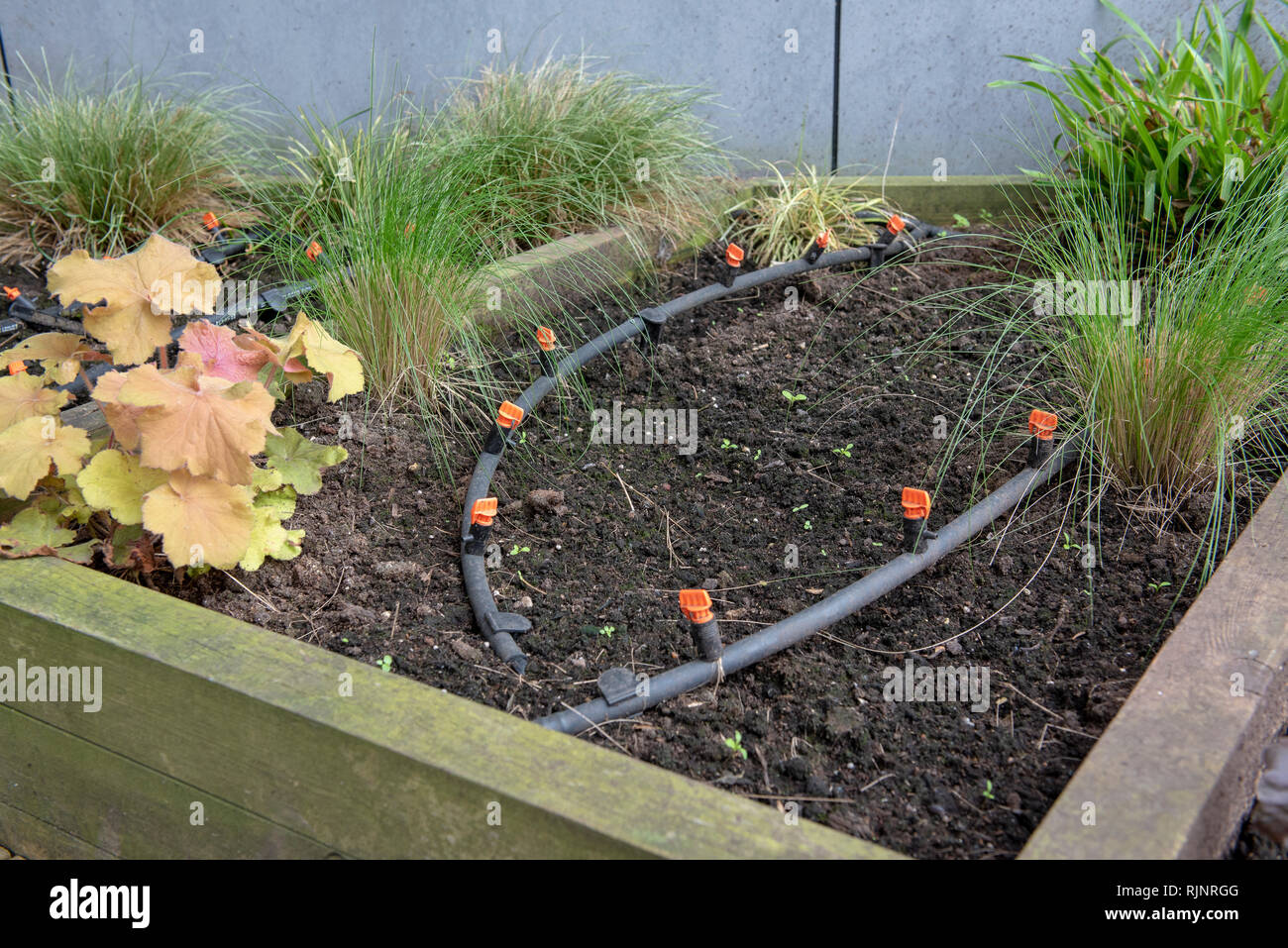 Irrigation system with irrigation nozzles, spring, Manche, France Stock ...