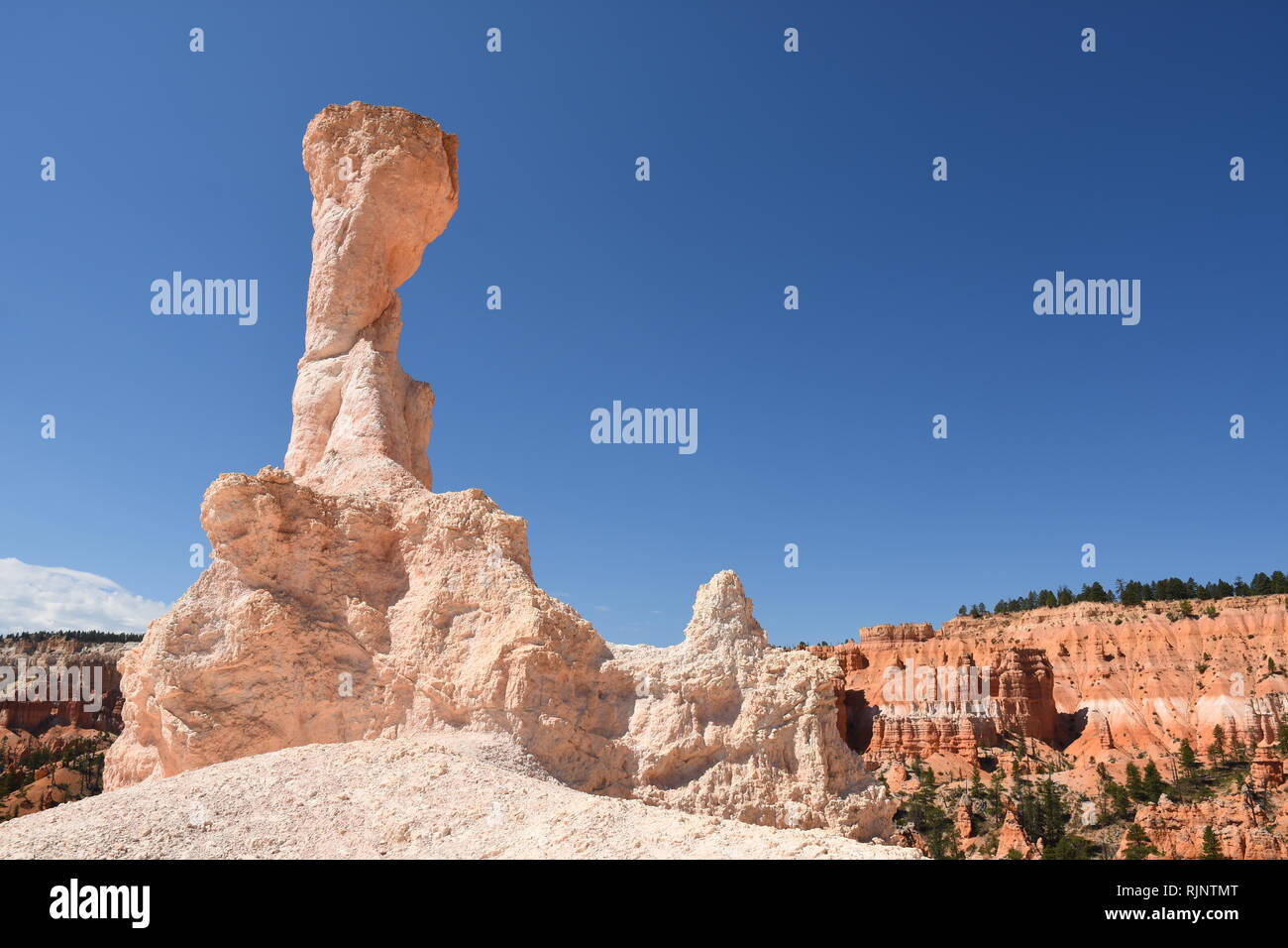 landscape on the bryce canyon in the united states of america Stock ...