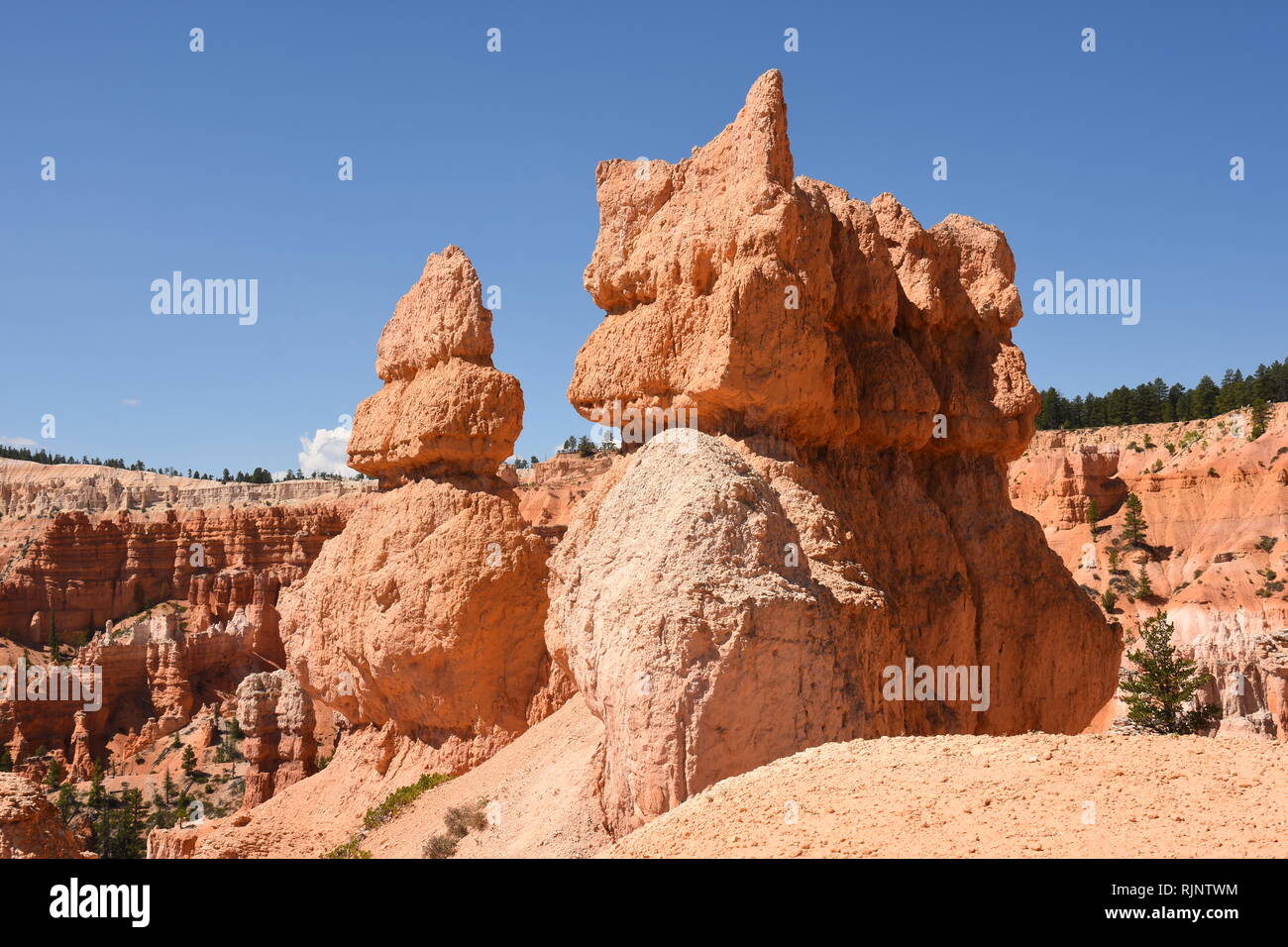 landscape on the bryce canyon in the united states of america Stock ...