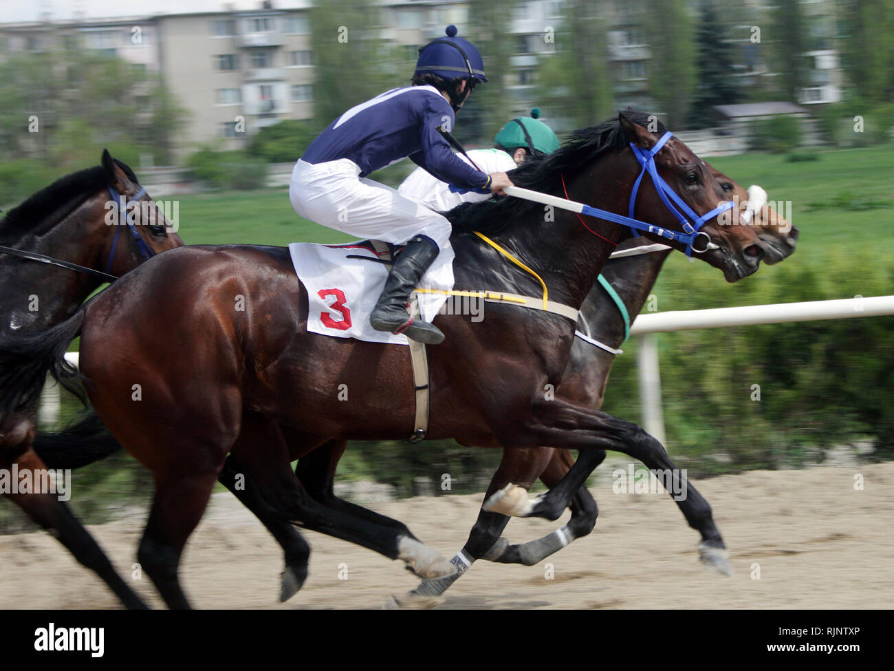 Horseracing action race hi-res stock photography and images - Alamy