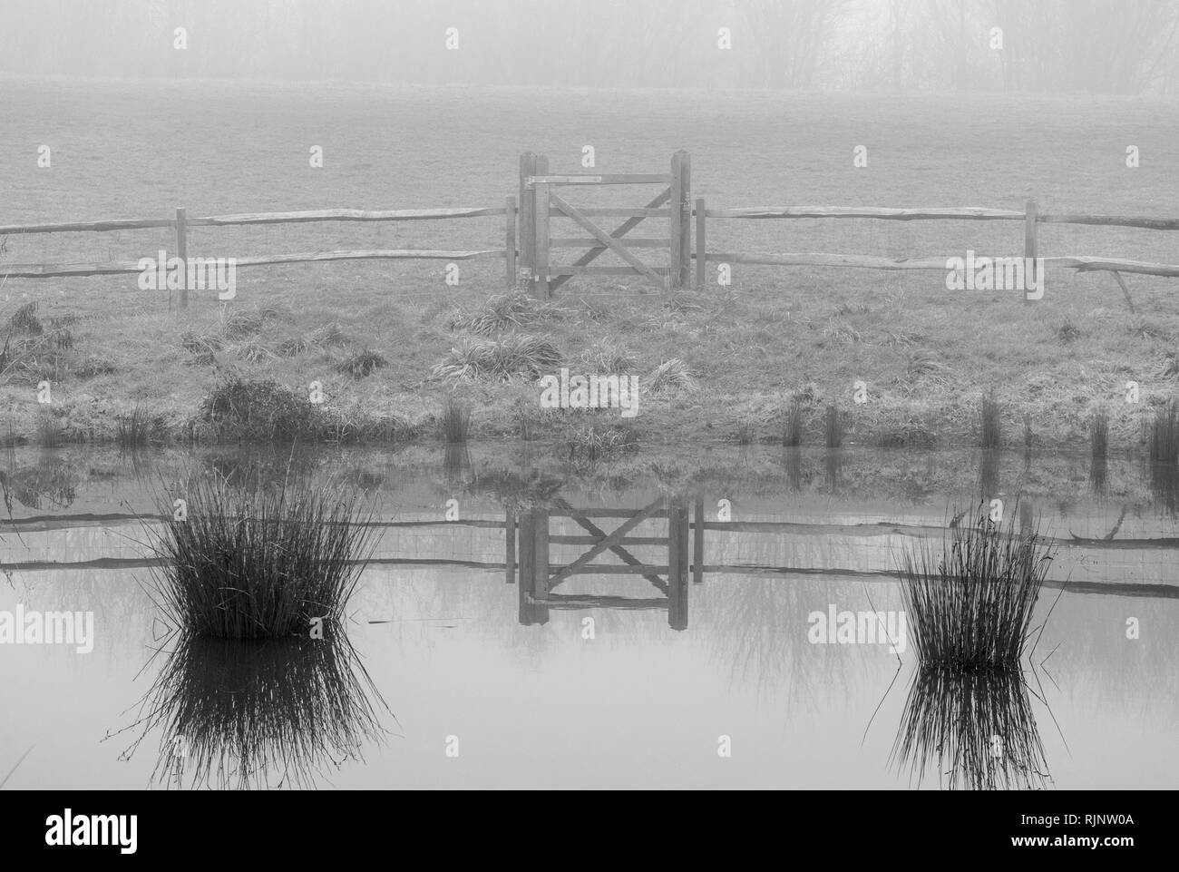 gate & fence reflected in a misty pond Stock Photo - Alamy