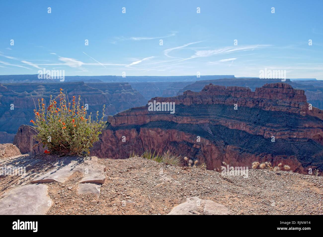 Canyon ravine grand national hi-res stock photography and images - Alamy