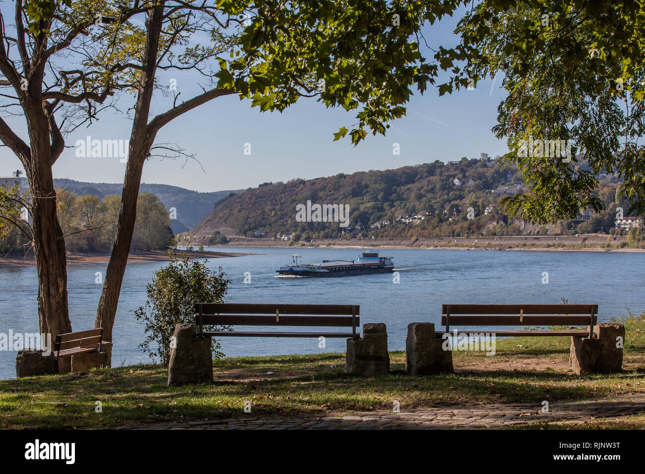 view from a park to the river Rhine in Neuwied, Germany Stock Photo - Alamy