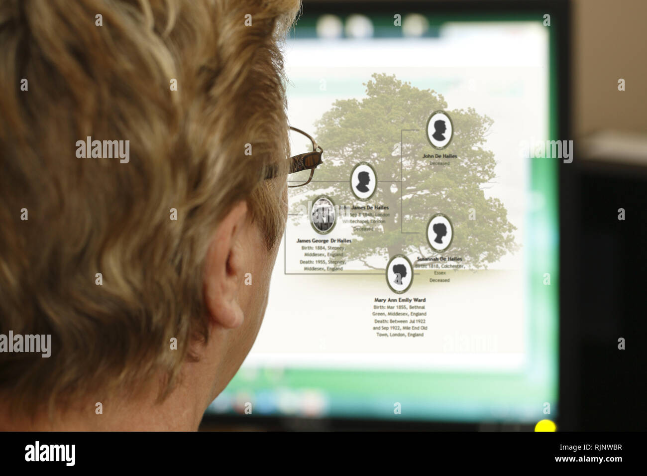Woman researching her family tree online Stock Photo - Alamy