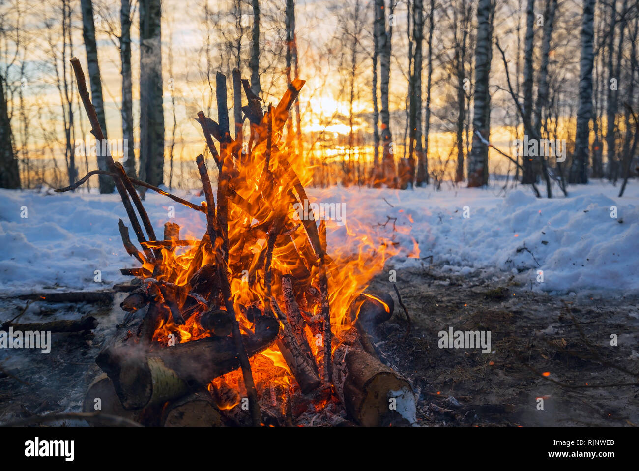 Bonfire in the winter in the snow in the woods Stock Photo - Alamy