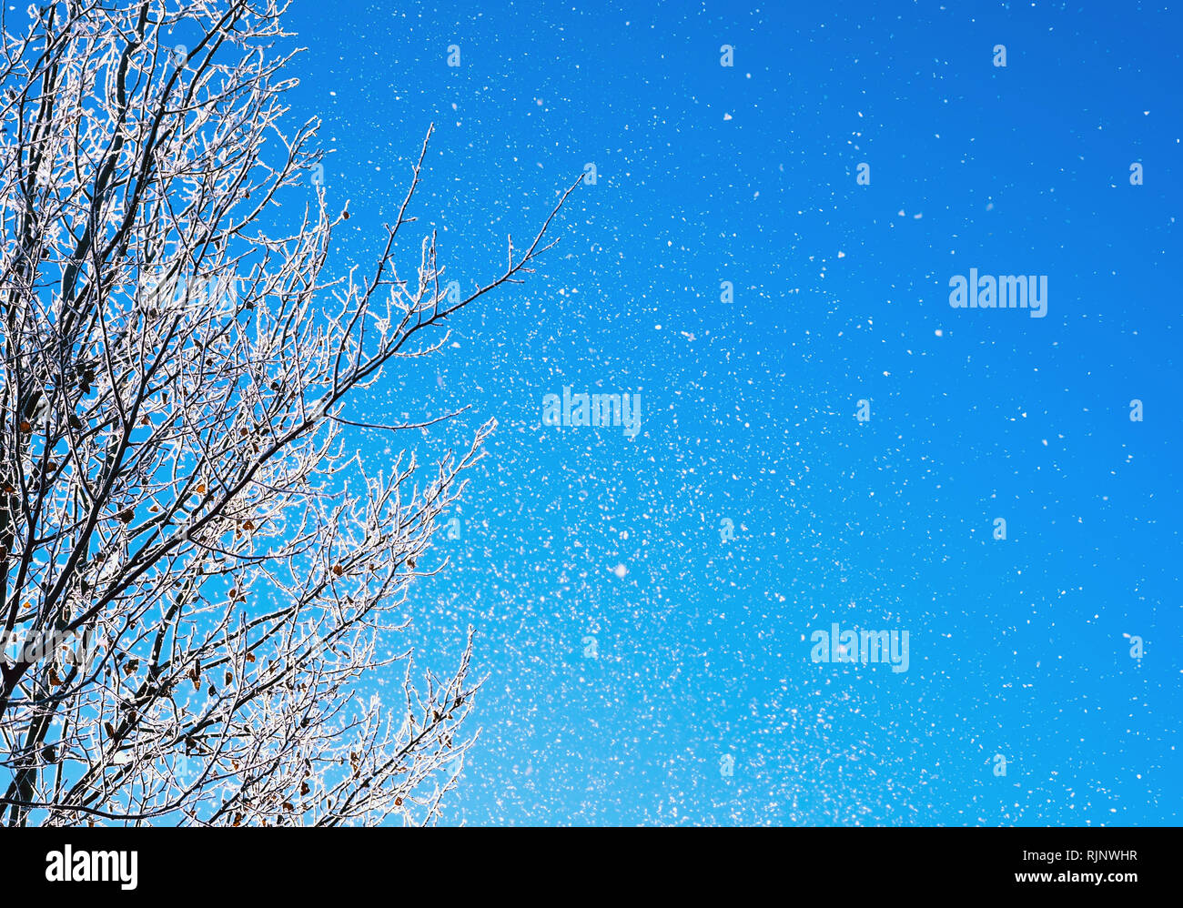 Polarclimate hi-res stock photography and images - Alamy