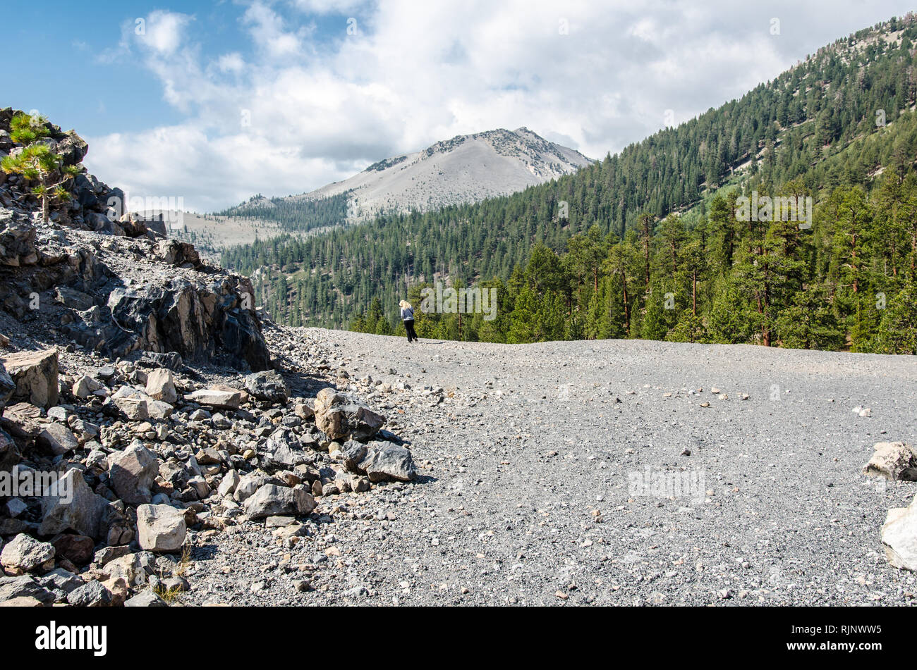 Trail up to Obsidian Dome, a geological feature in the Mammoth Lakes ...