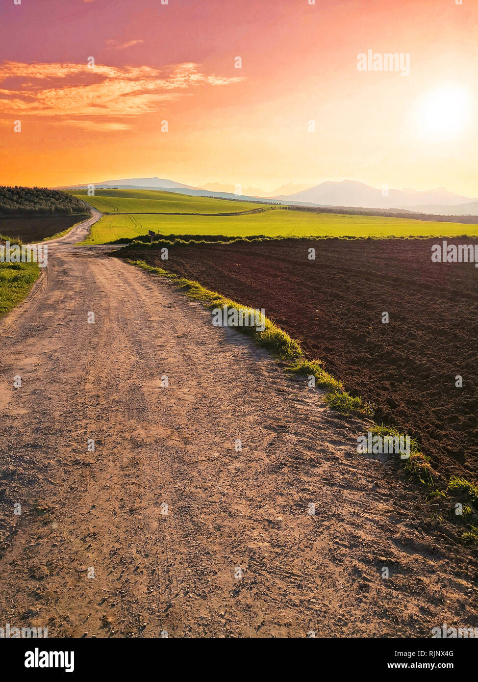 Panorama of dirt path surrounded by grass meadow at sunset in spanish ...
