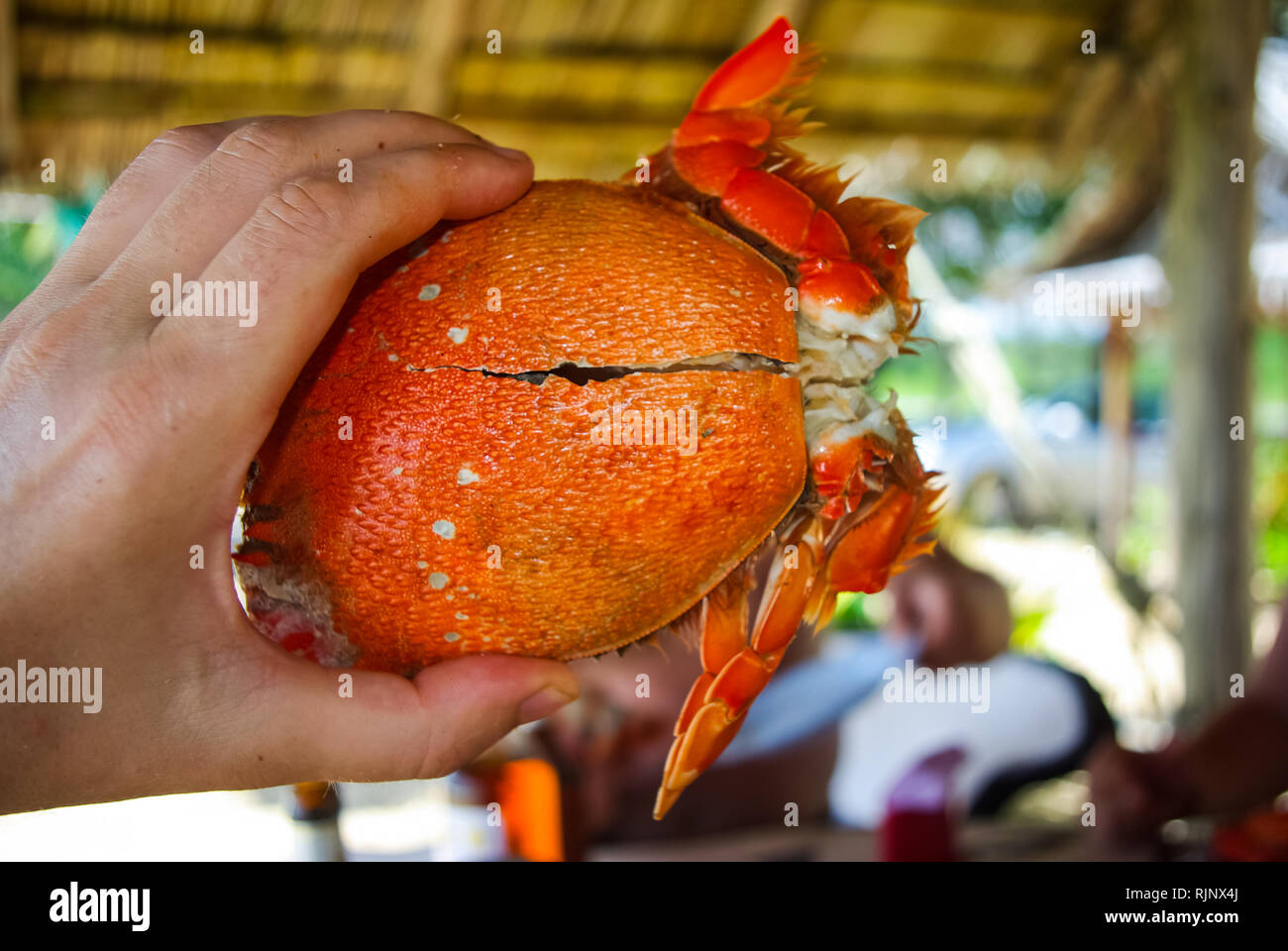 boiled sea crab. Red from cooking crab - a dish of Thailand cuisine ...
