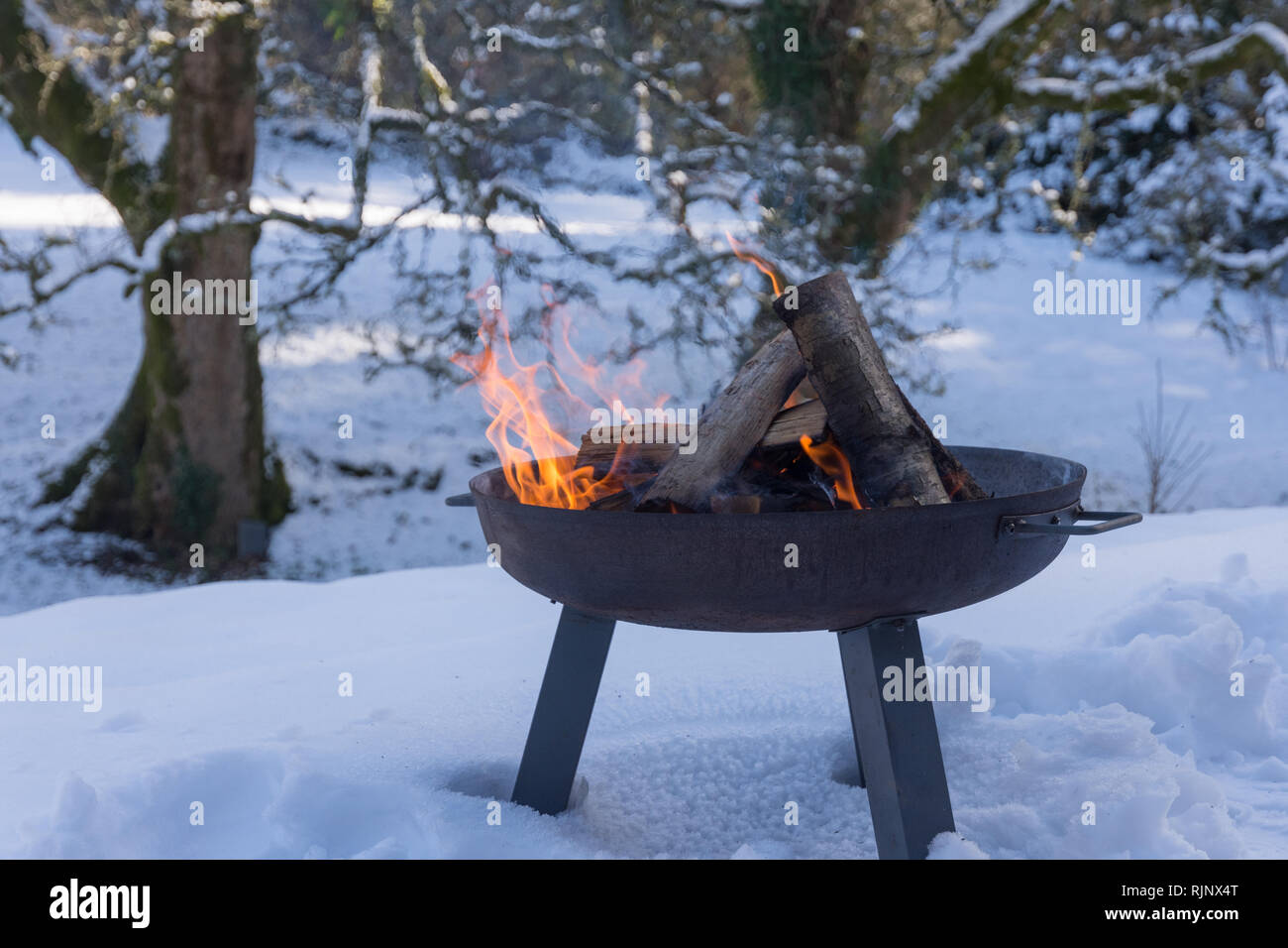Burning logs in fire bowl hi-res stock photography and images - Alamy