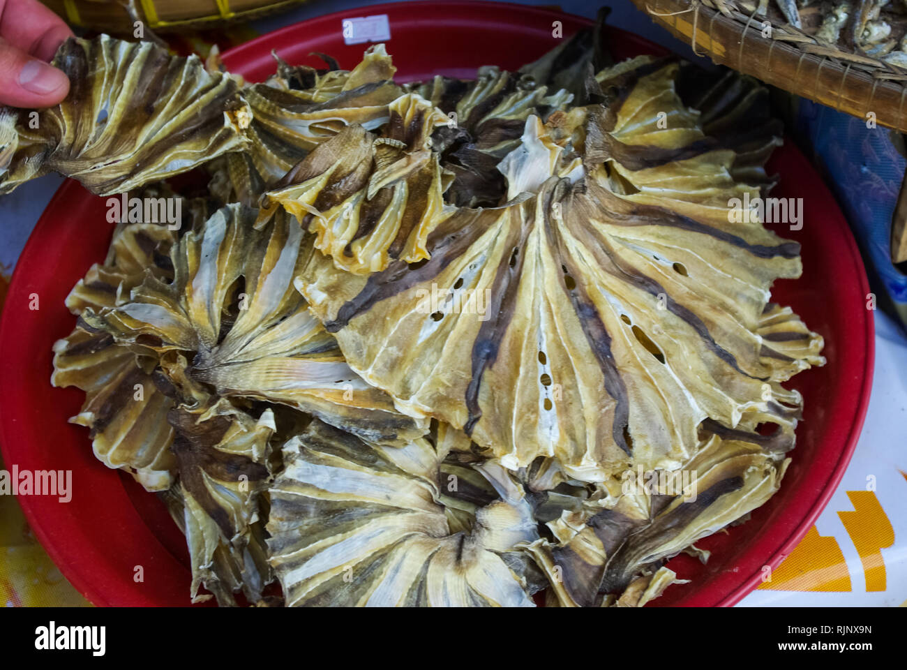 Dried fish in large quantities. Warehouse of dried fish on the market ...
