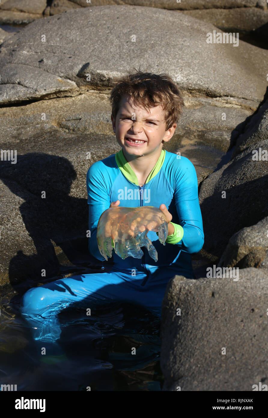 Rockpool finds hi-res stock photography and images - Alamy