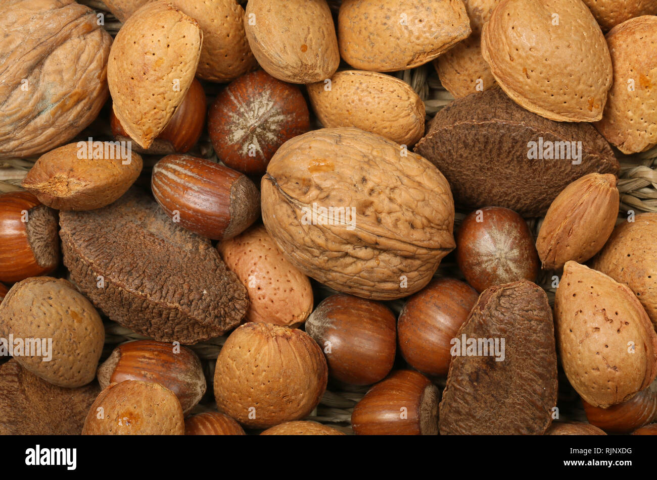 Shell of nuts hi-res stock photography and images - Alamy
