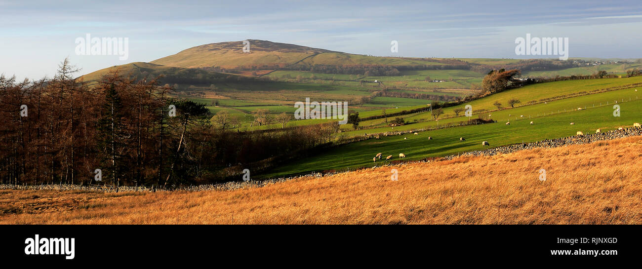 View to the Summit of Binsey fell, Uldale Fells, Lake District National ...