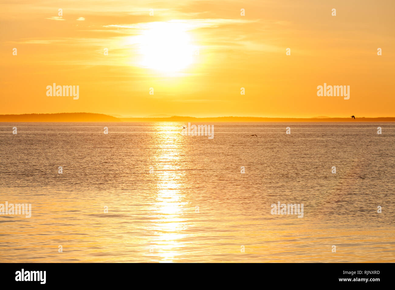 Beautiful clear golden sunset hi-res stock photography and images - Alamy