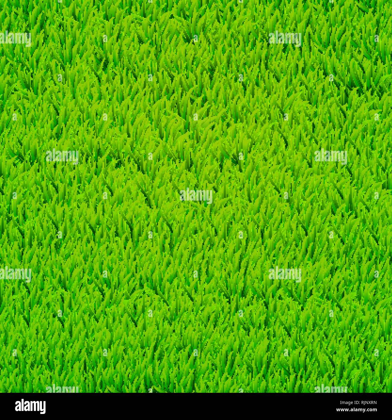 Green grass vector background Stock Vector Image & Art - Alamy