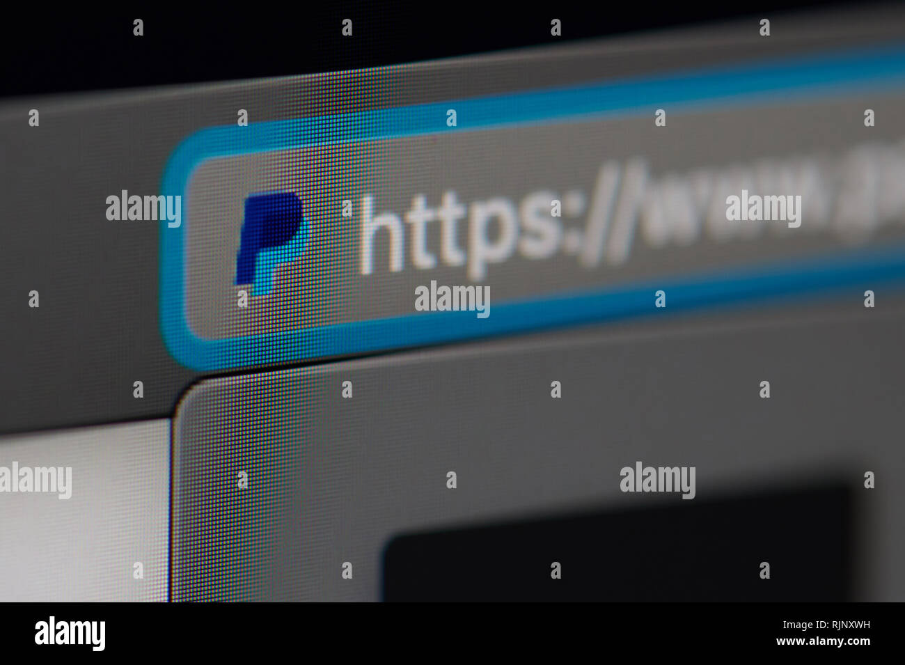 New york, USA - february 6, 2019: Paypal icon on official web page on ...