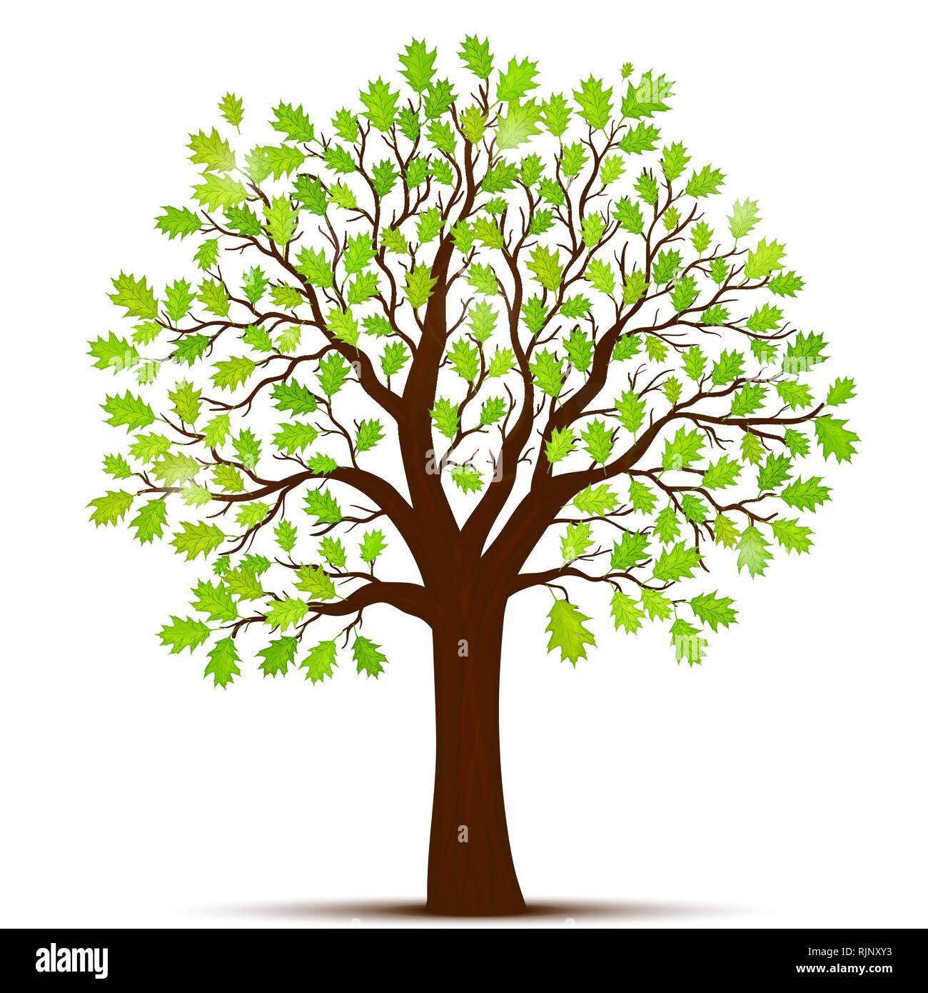 Green tree vector Stock Vector Image & Art - Alamy