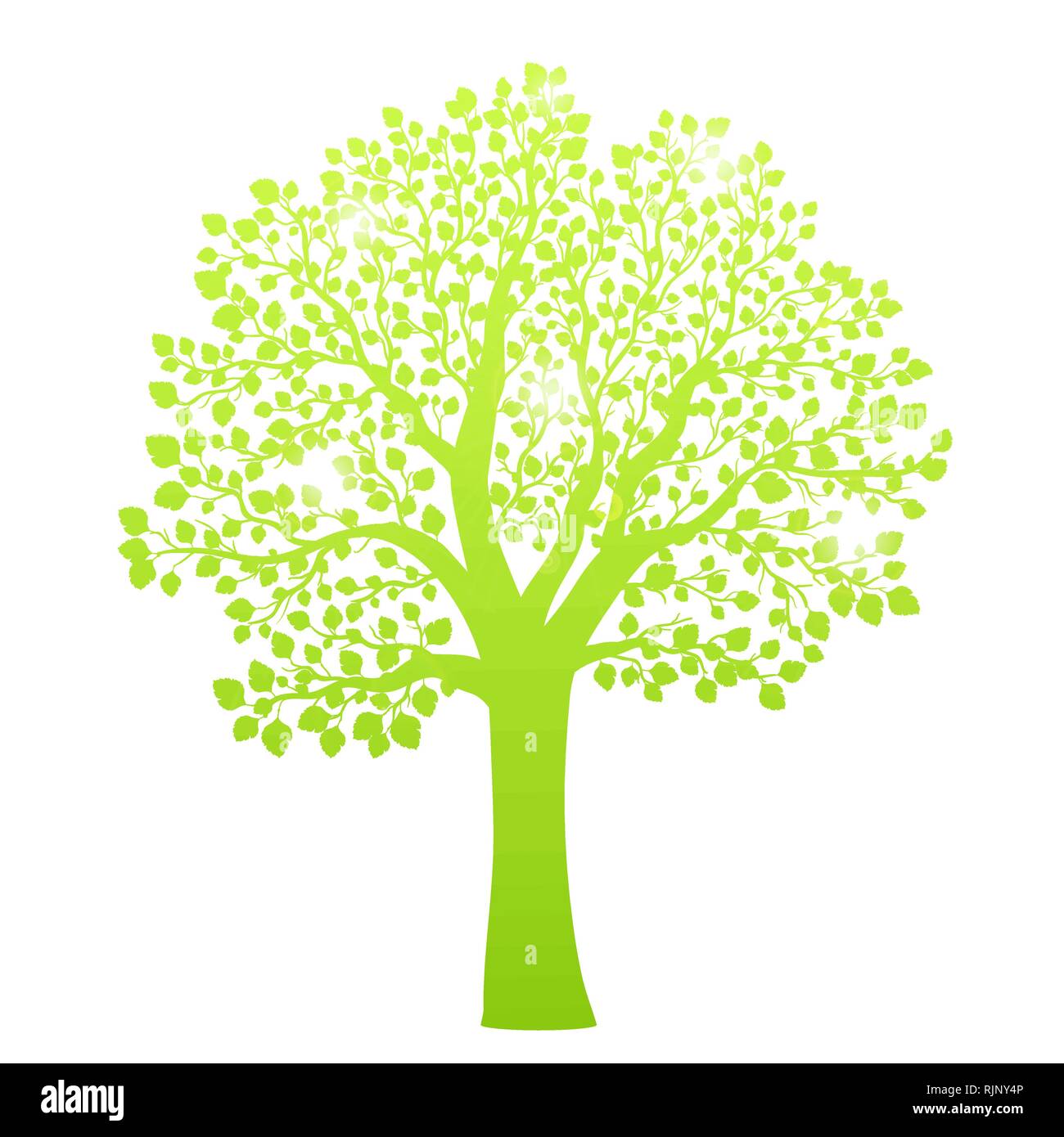 Green leaves plant branch Stock Vector Images - Alamy