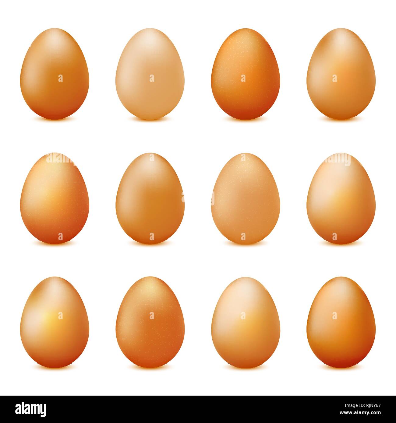 Vector set of realistic eggs isolated on white background Stock Vector ...