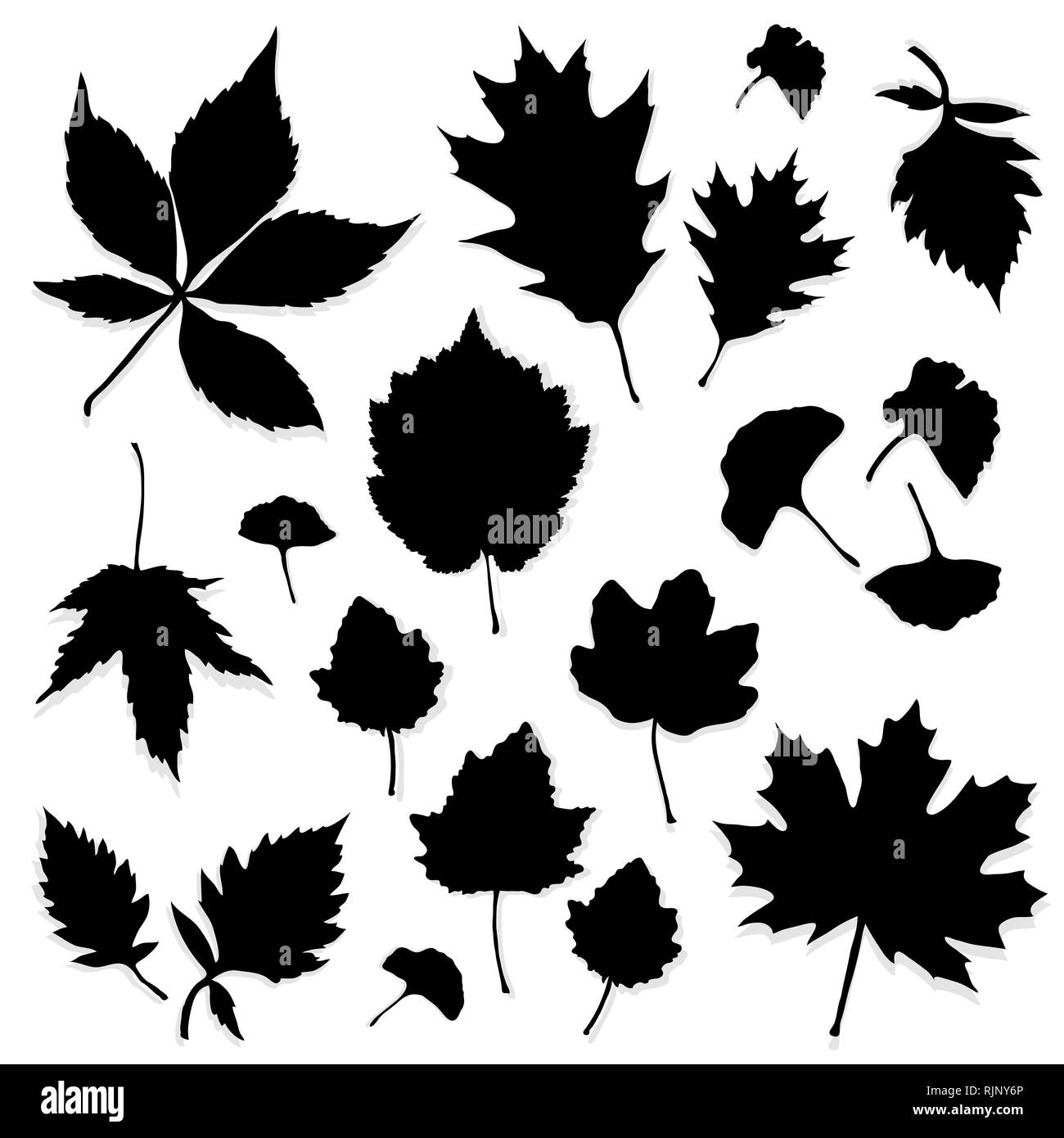Leaves silhouette vector Stock Vector Image & Art - Alamy
